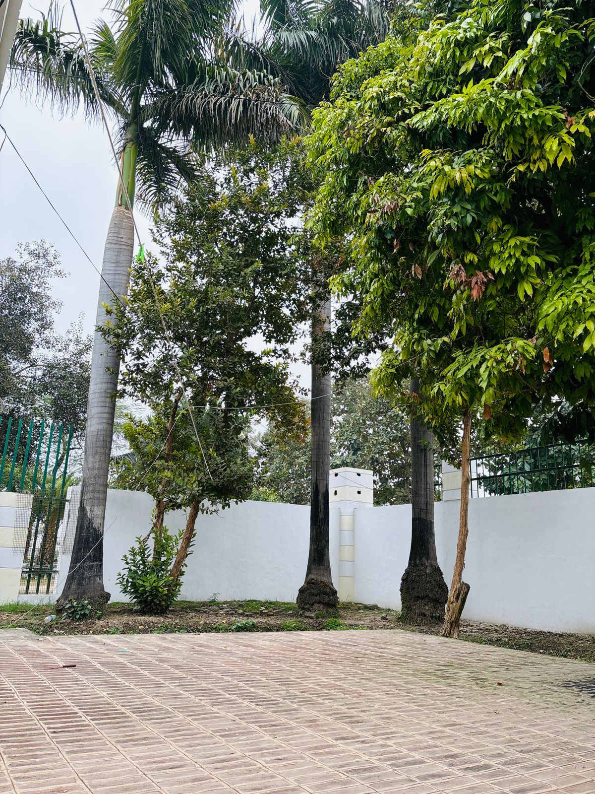 Dudhwa Resort Gallery – Dudhwa Forest View Resort